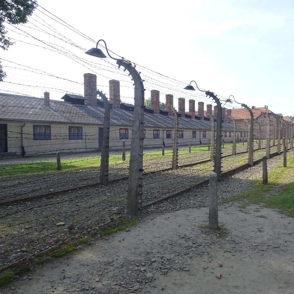7 Day Holocaust Tour Including Poland & the Nazi Death Camps In 2019